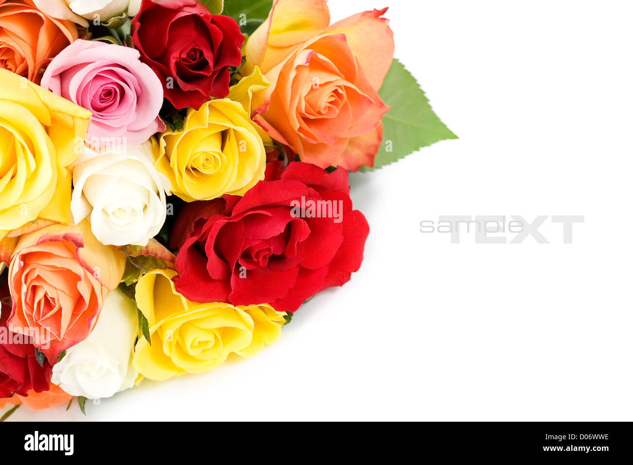 Flor color pastel hi-res stock photography and images - Alamy