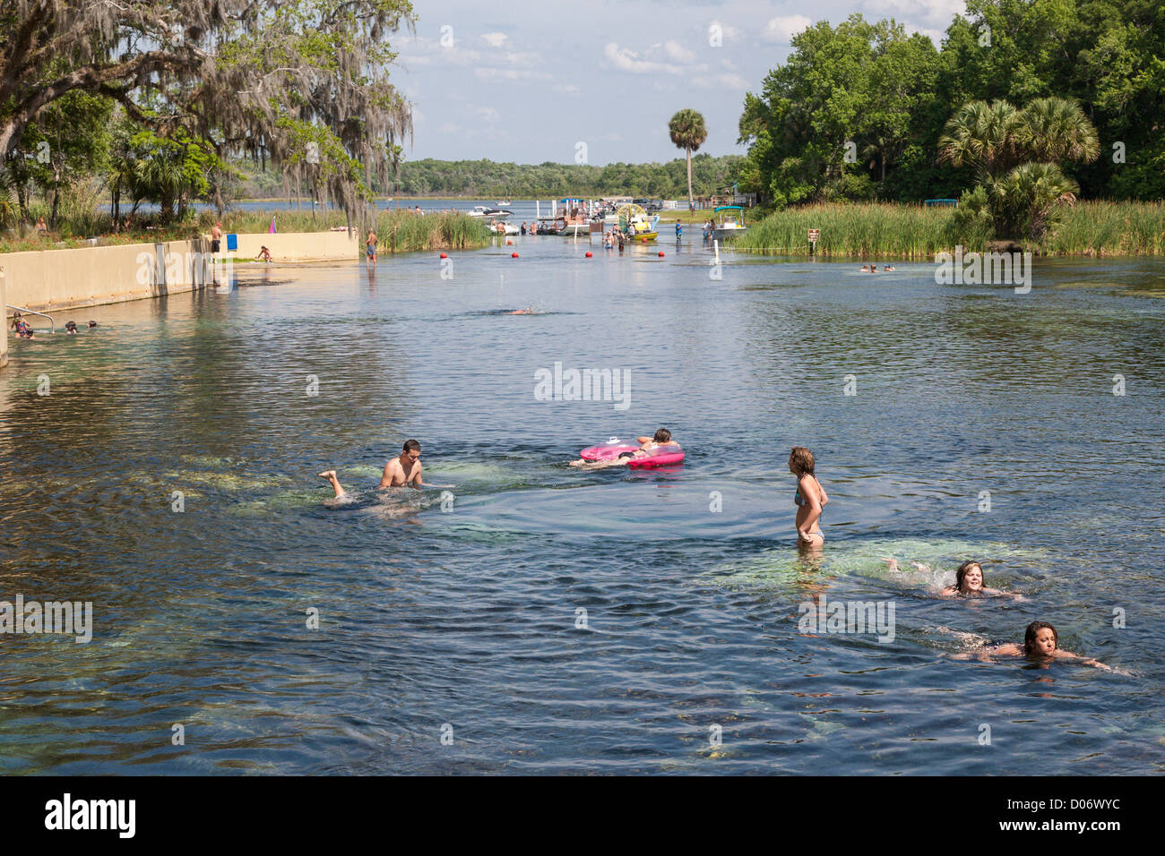 Ocala national forest salt hi-res stock photography and images - Alamy