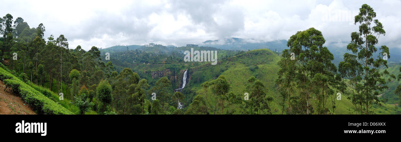 Sri lanka tea plantation waterfall hi-res stock photography and images ...