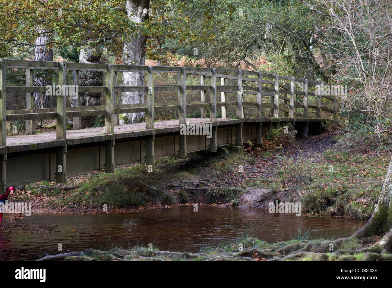 Puttles Bridge in the New Forest in October Stock Photo - Alamy