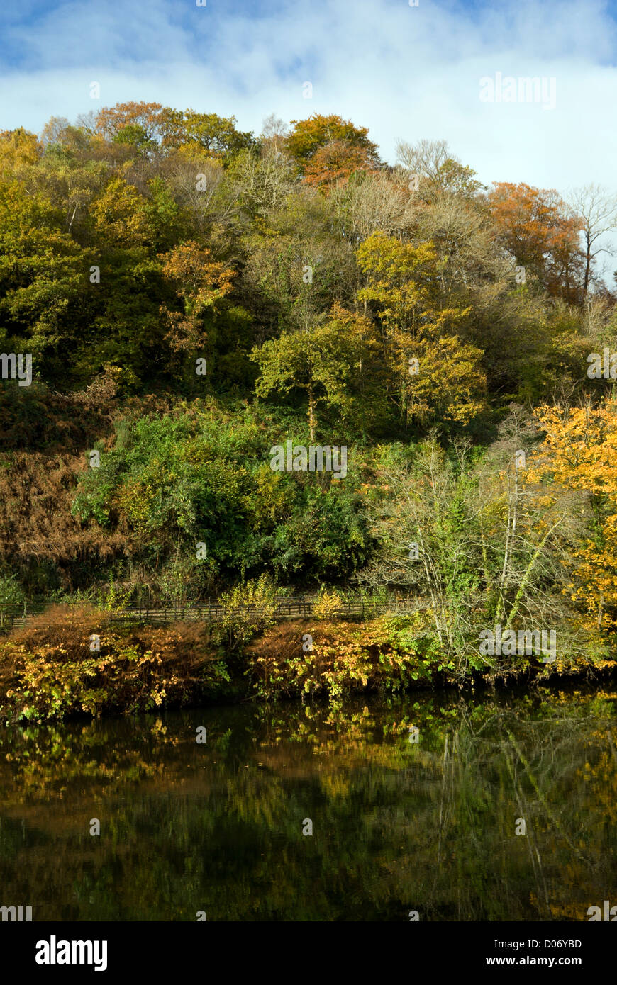 Radyr, wales hi-res stock photography and images - Alamy