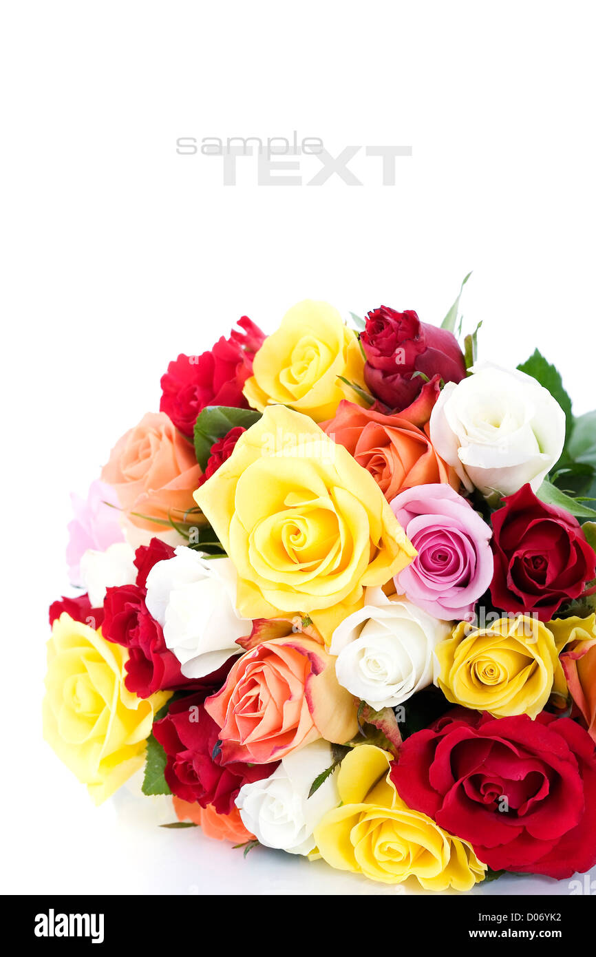 Flor color pastel hi-res stock photography and images - Alamy