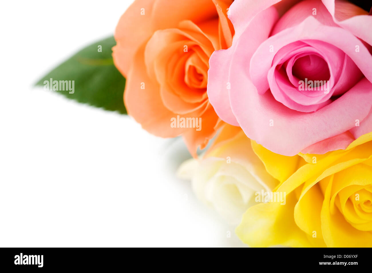 Flor color pastel hi-res stock photography and images - Alamy