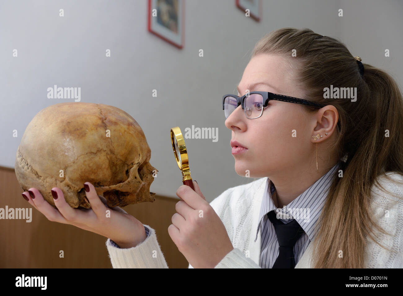 Female human skull hi-res stock photography and images - Alamy