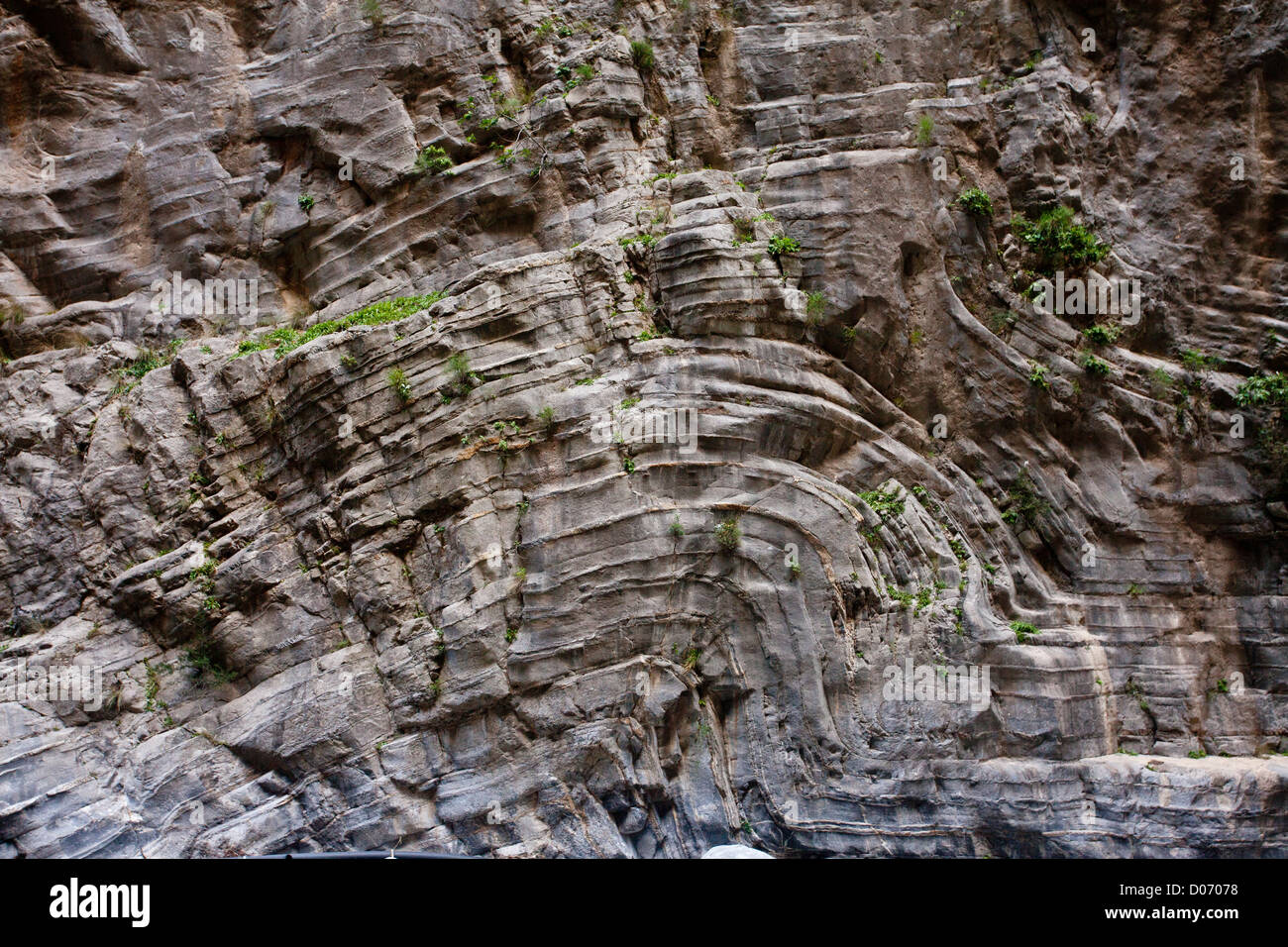 High limestone cliffs in the Samaria Gorge National Park, White ...