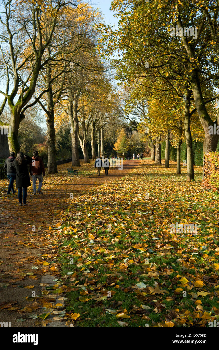 Bute avenue hi-res stock photography and images - Alamy