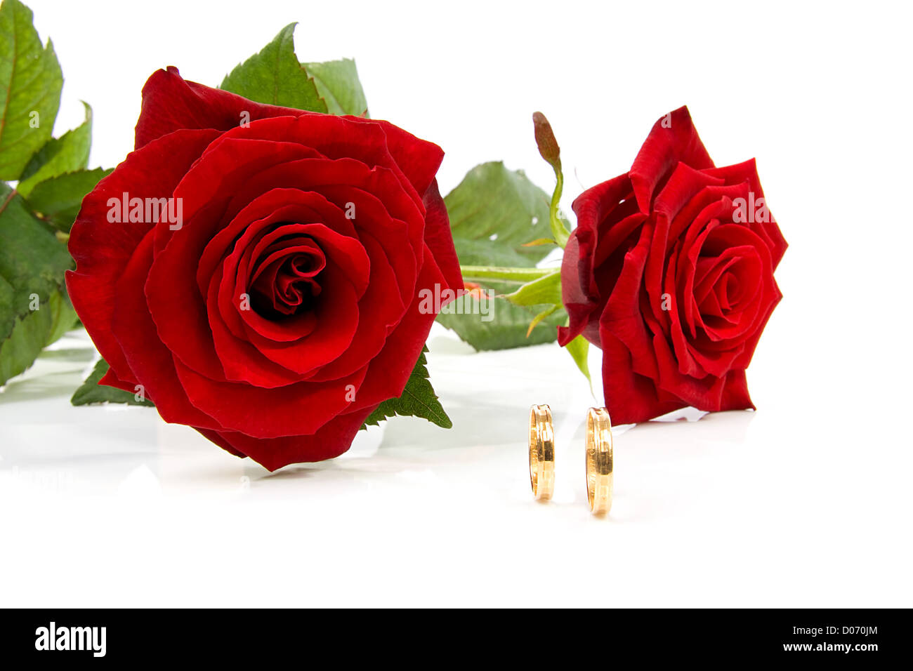 two red roses and wedding rings over white background Stock Photo - Alamy