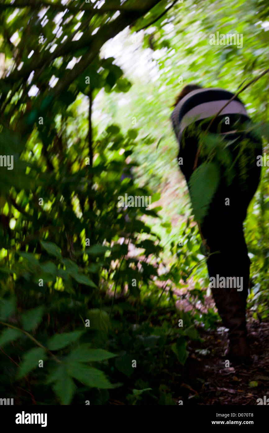 Through bushes hi-res stock photography and images - Alamy