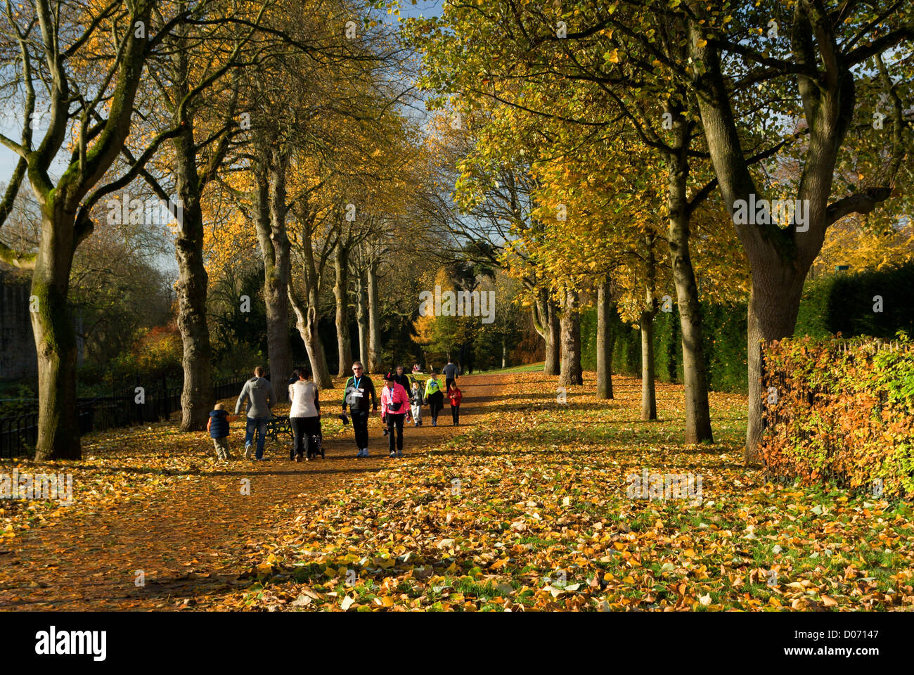 autumn scene bute park cardiff wales uk Stock Photo - Alamy