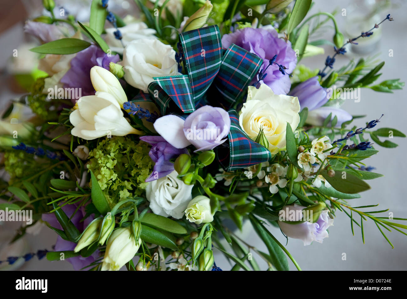 Flower display with tartan ribbon Stock Photo - Alamy