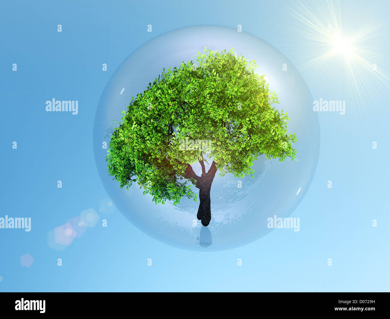 a tree in a bubble Stock Photo - Alamy