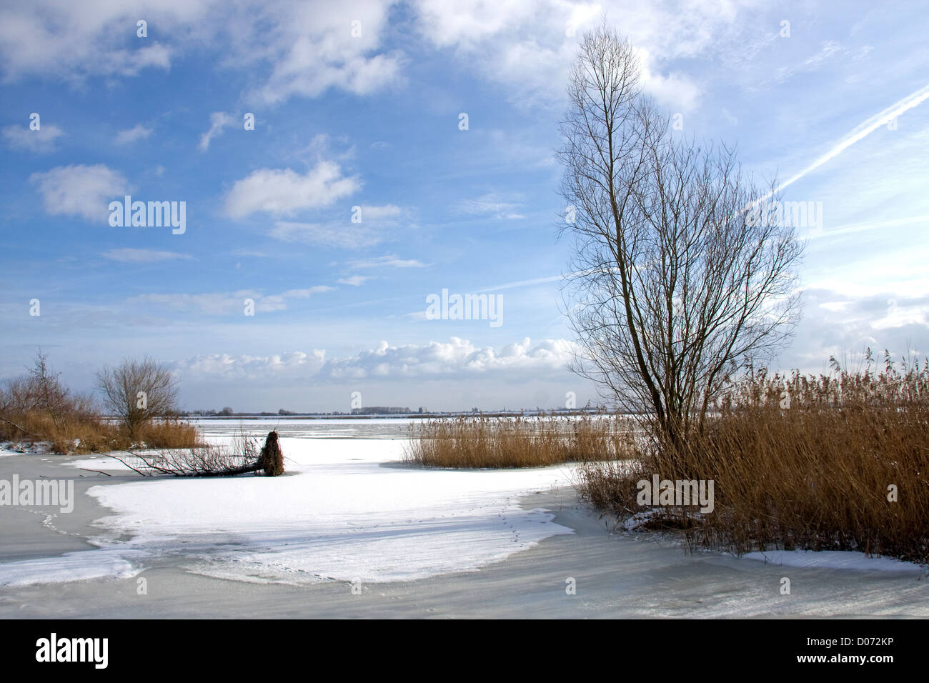 Snow landscape in the Netherlands Stock Photo - Alamy