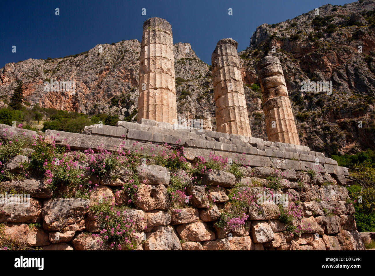 Delphi ancient site, full of spring flowers. Greece Stock Photo - Alamy