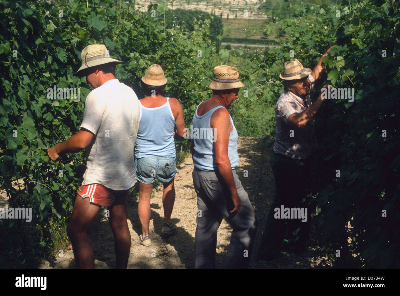 Bordini hi-res stock photography and images - Alamy