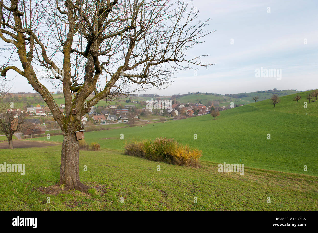 Switzerland, Canton Basel Country, surrounding of Arisdorf, landscape ...