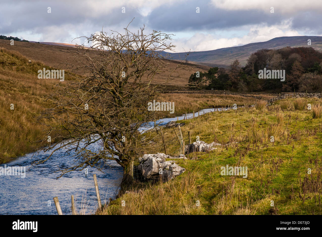 Winding stream hi-res stock photography and images - Alamy