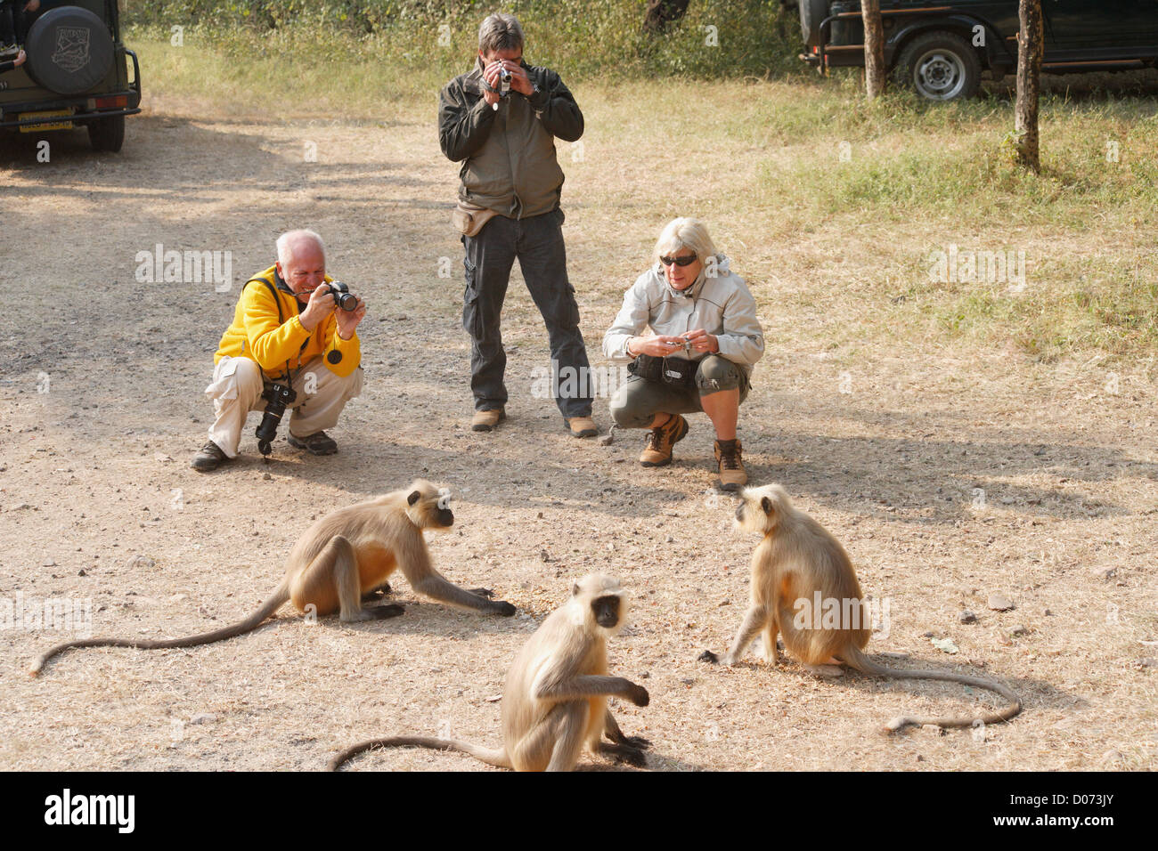 Photographers as monkeys hi-res stock photography and images - Alamy