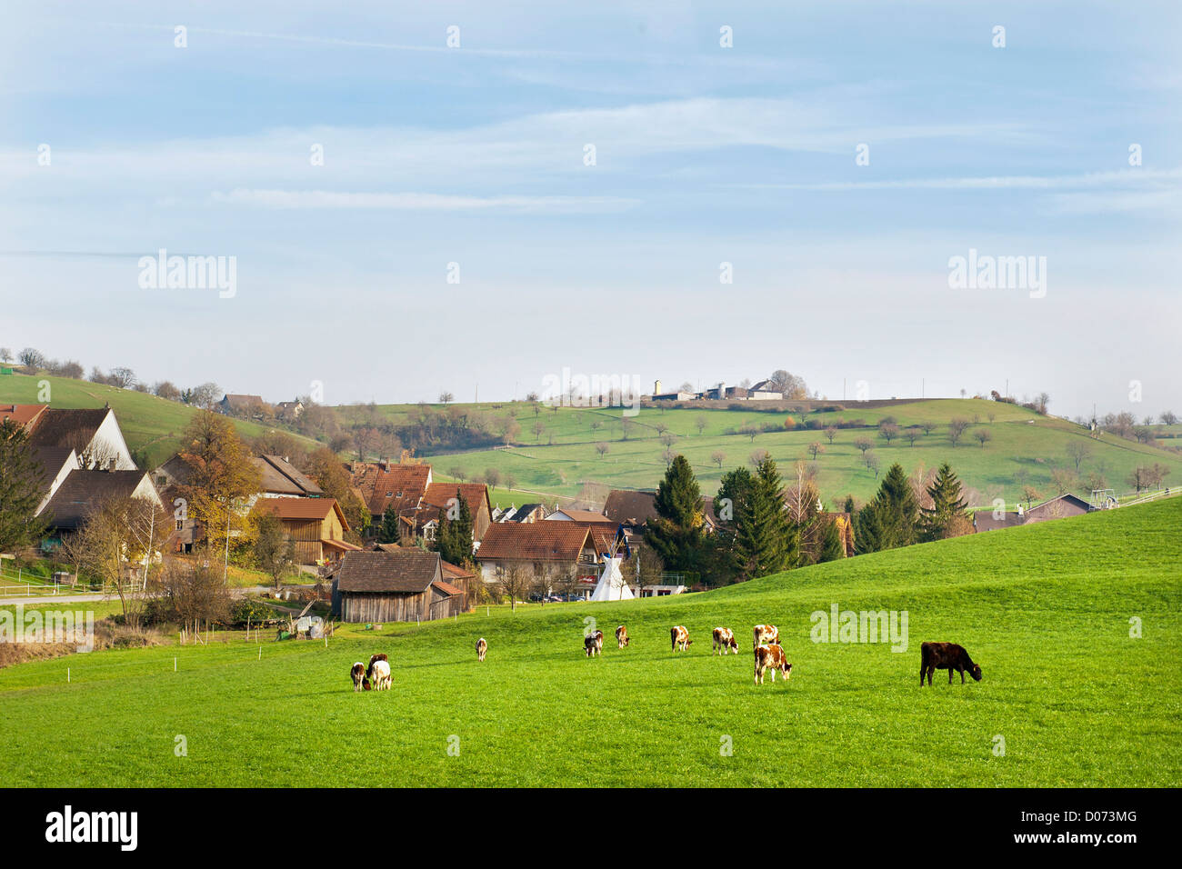 Switzerland, Canton Basel Country, surrounding of Arisdorf, landscape ...