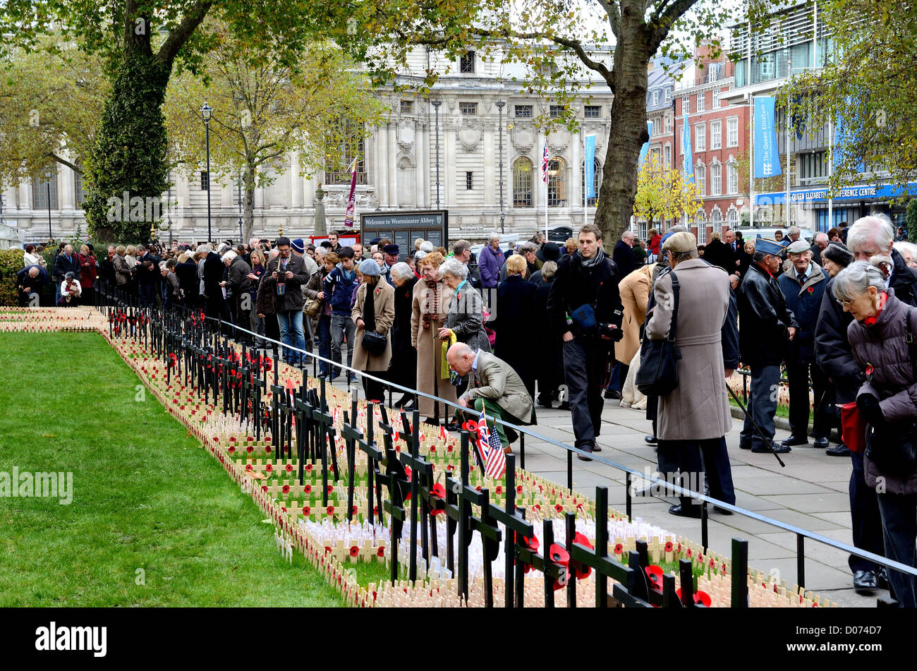 Field of Remembrance at Westminster Abbey London Stock Photo - Alamy