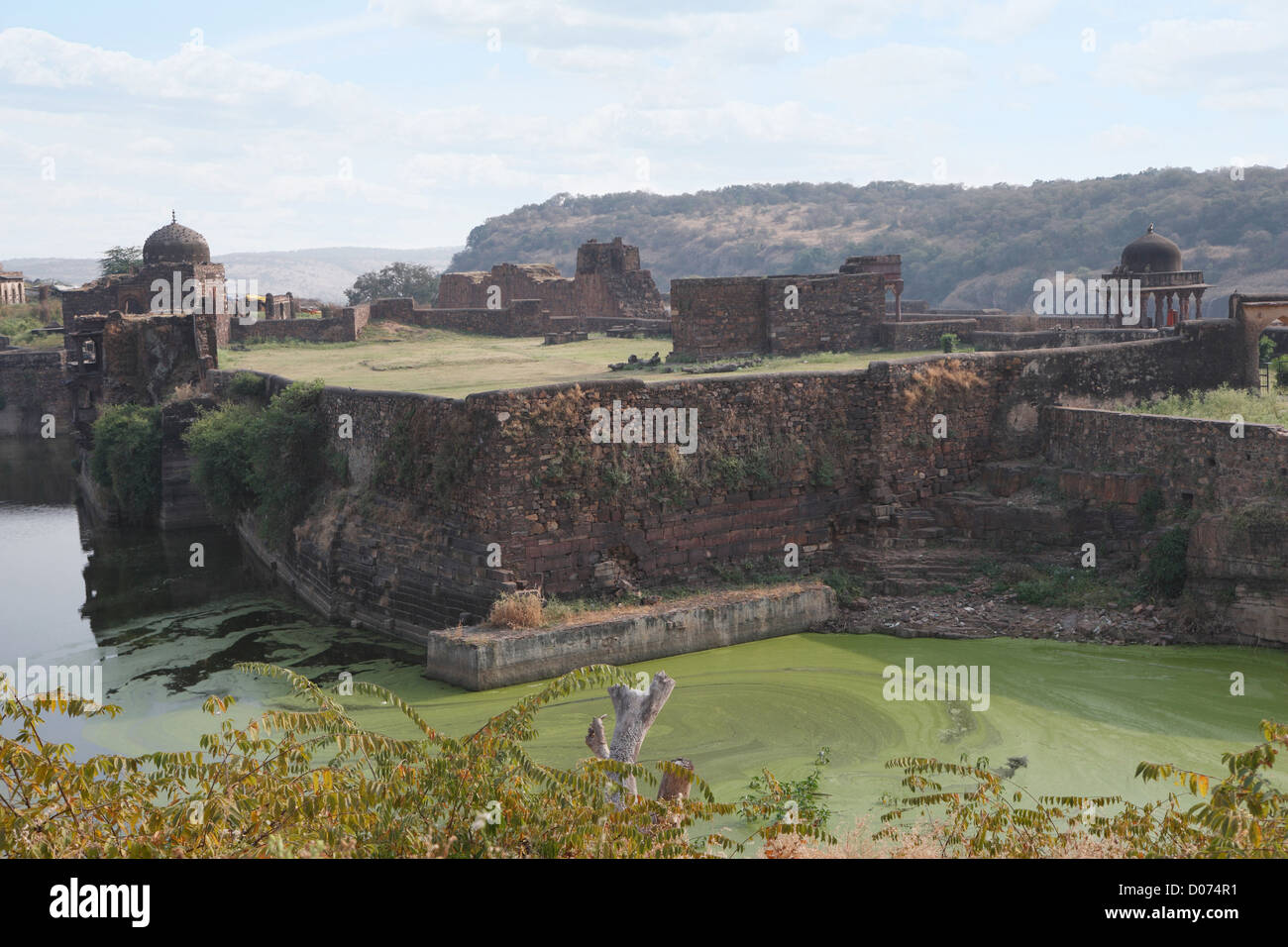 Ranthambore hi-res stock photography and images - Alamy