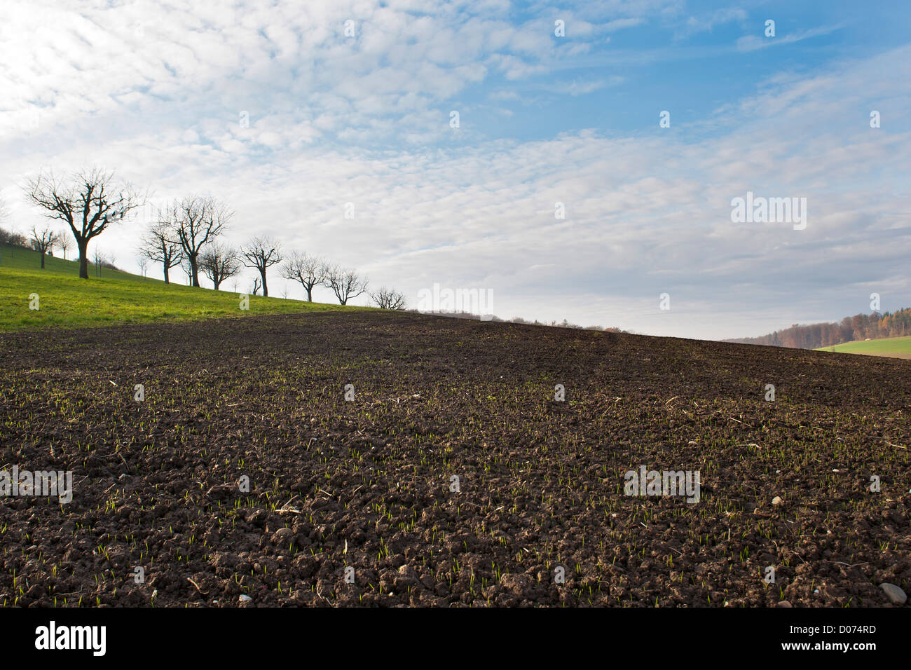 Switzerland, Canton Basel Country, surrounding of Arisdorf, landscape ...