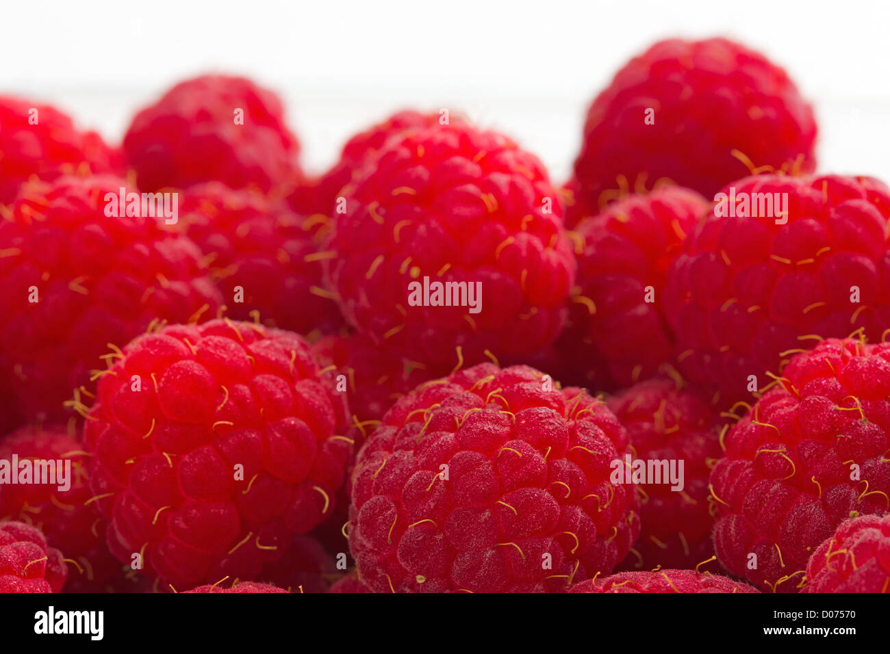 Many raspberries, white background Stock Photo - Alamy