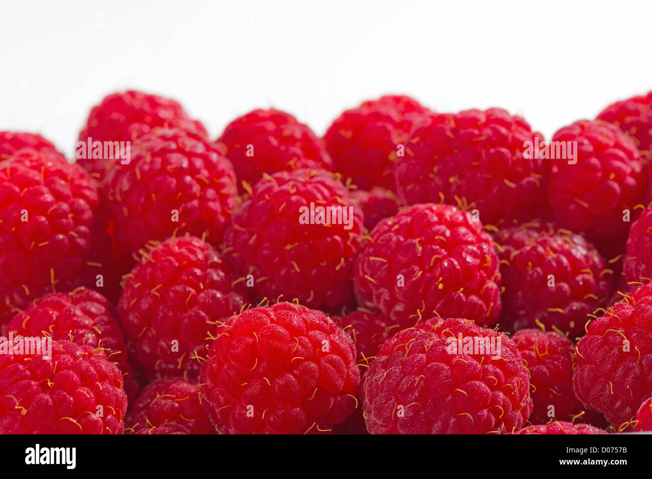 Many raspberries, white background Stock Photo - Alamy