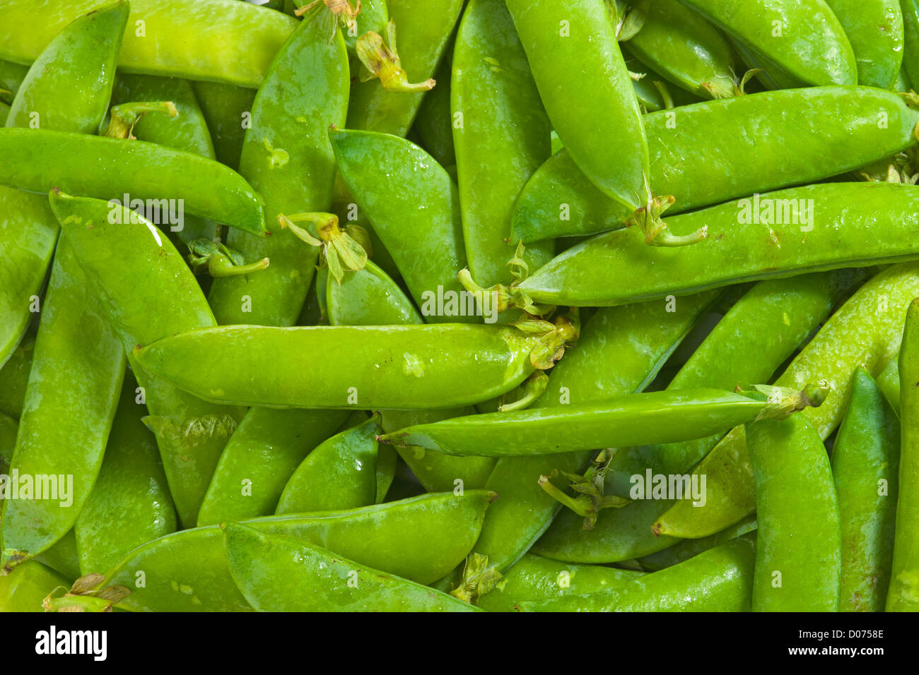Many green beans on pile, white background Stock Photo - Alamy