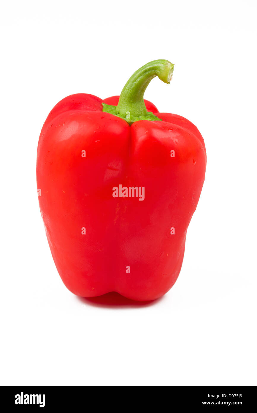 One fresh sweet pepper and white background Stock Photo - Alamy