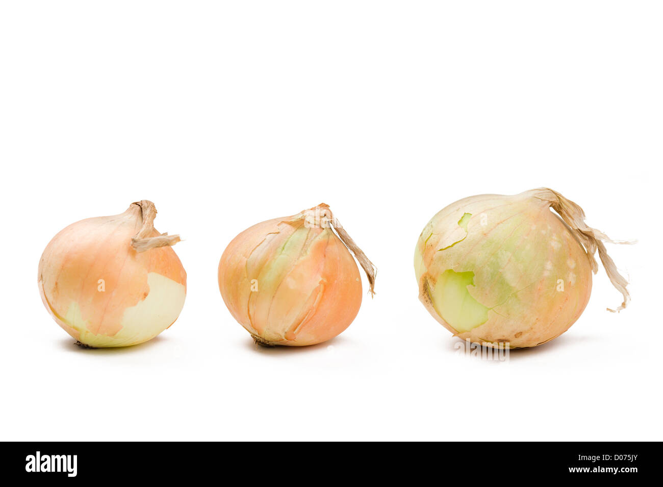 Three yellow onions, white background Stock Photo - Alamy