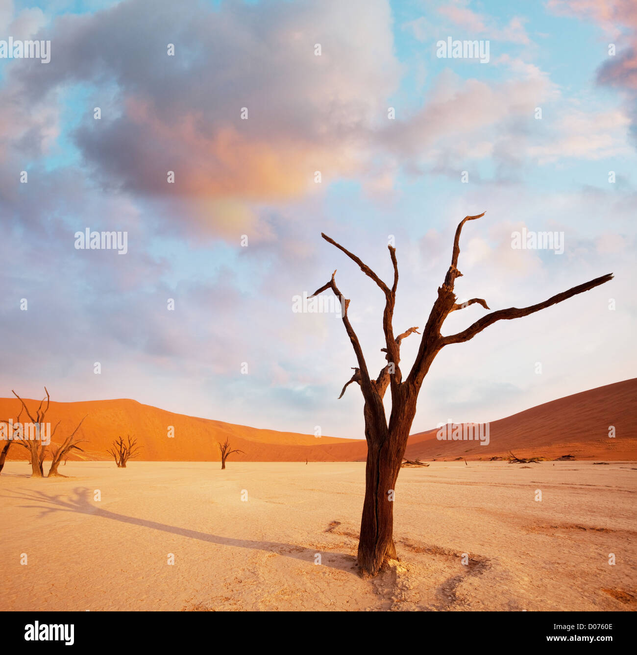 Dead valley in Namibia Stock Photo - Alamy