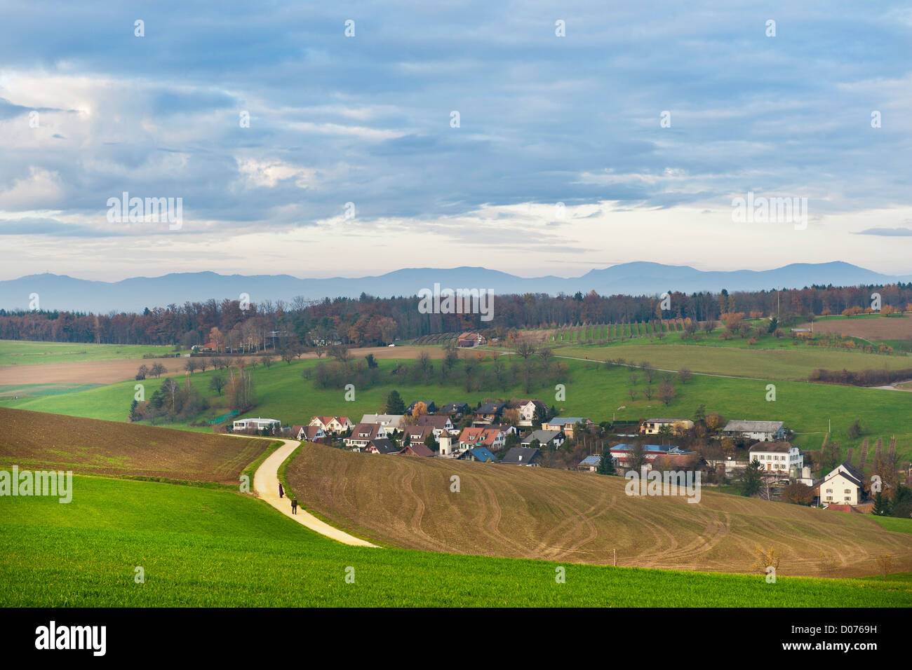 Switzerland, Canton Basel Country, surrounding of Arisdorf, landscape ...