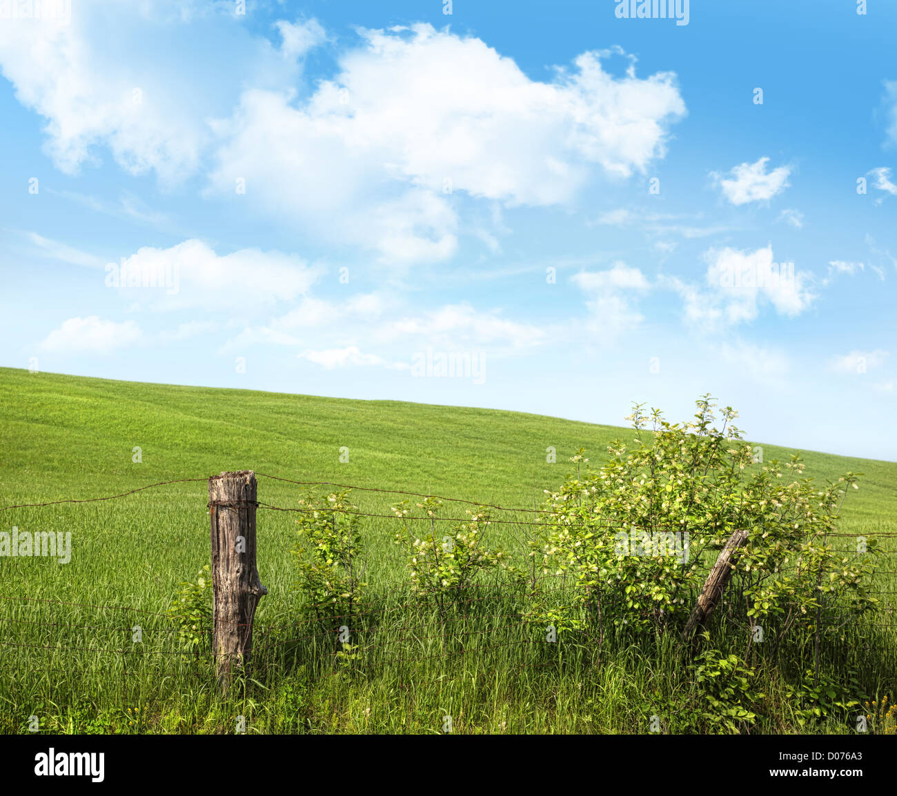 Country Fence Photography