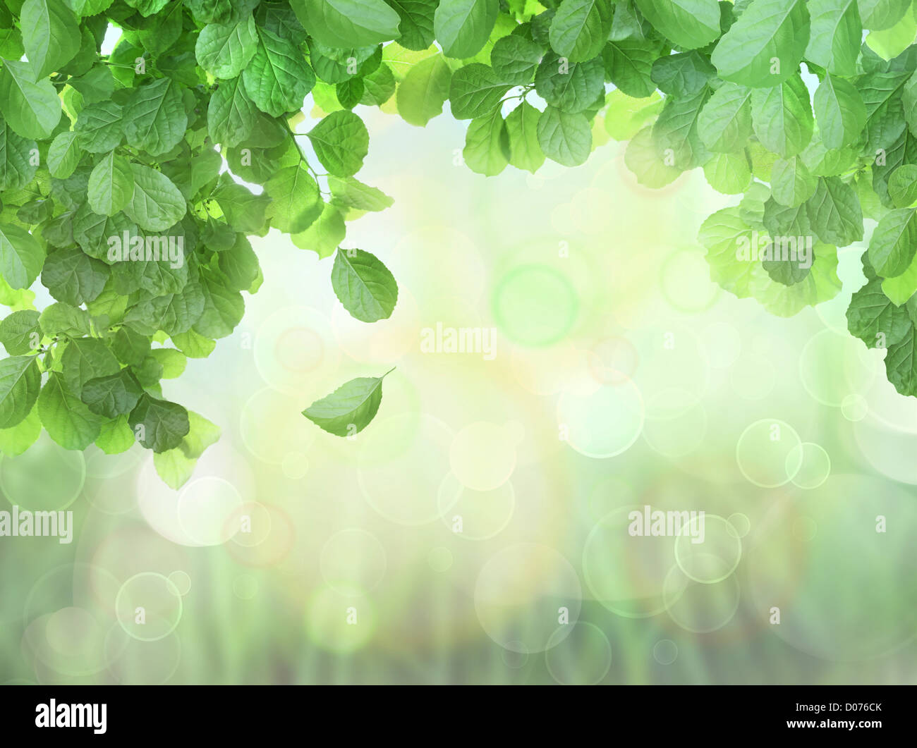 Spring Background With Leaves and brokeh effect background Stock Photo ...
