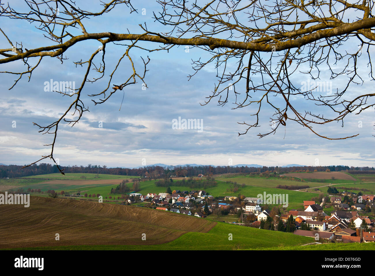 Switzerland, Canton Basel Country, surrounding of Arisdorf, landscape ...