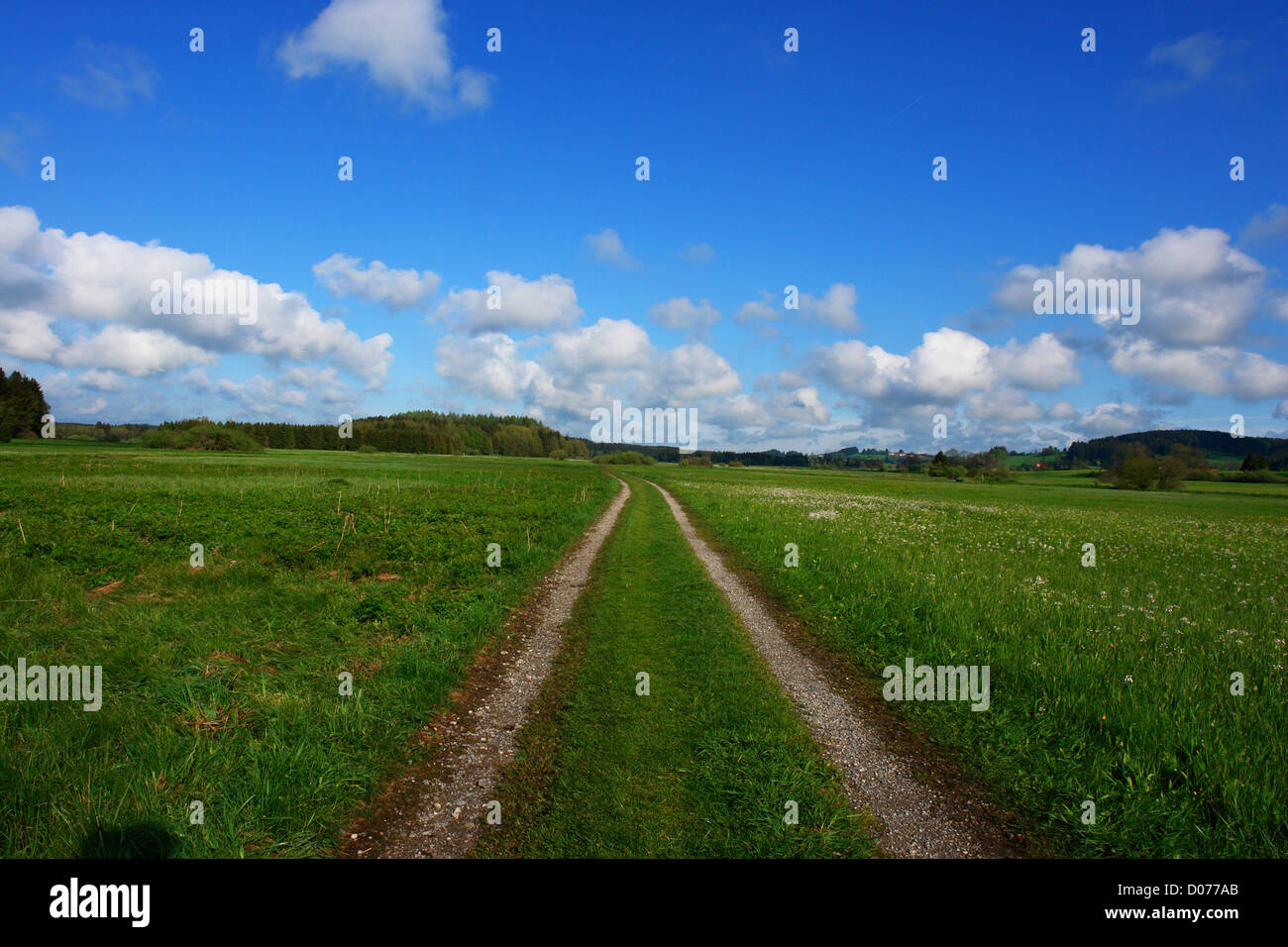 Wide path or pathway hi-res stock photography and images - Alamy