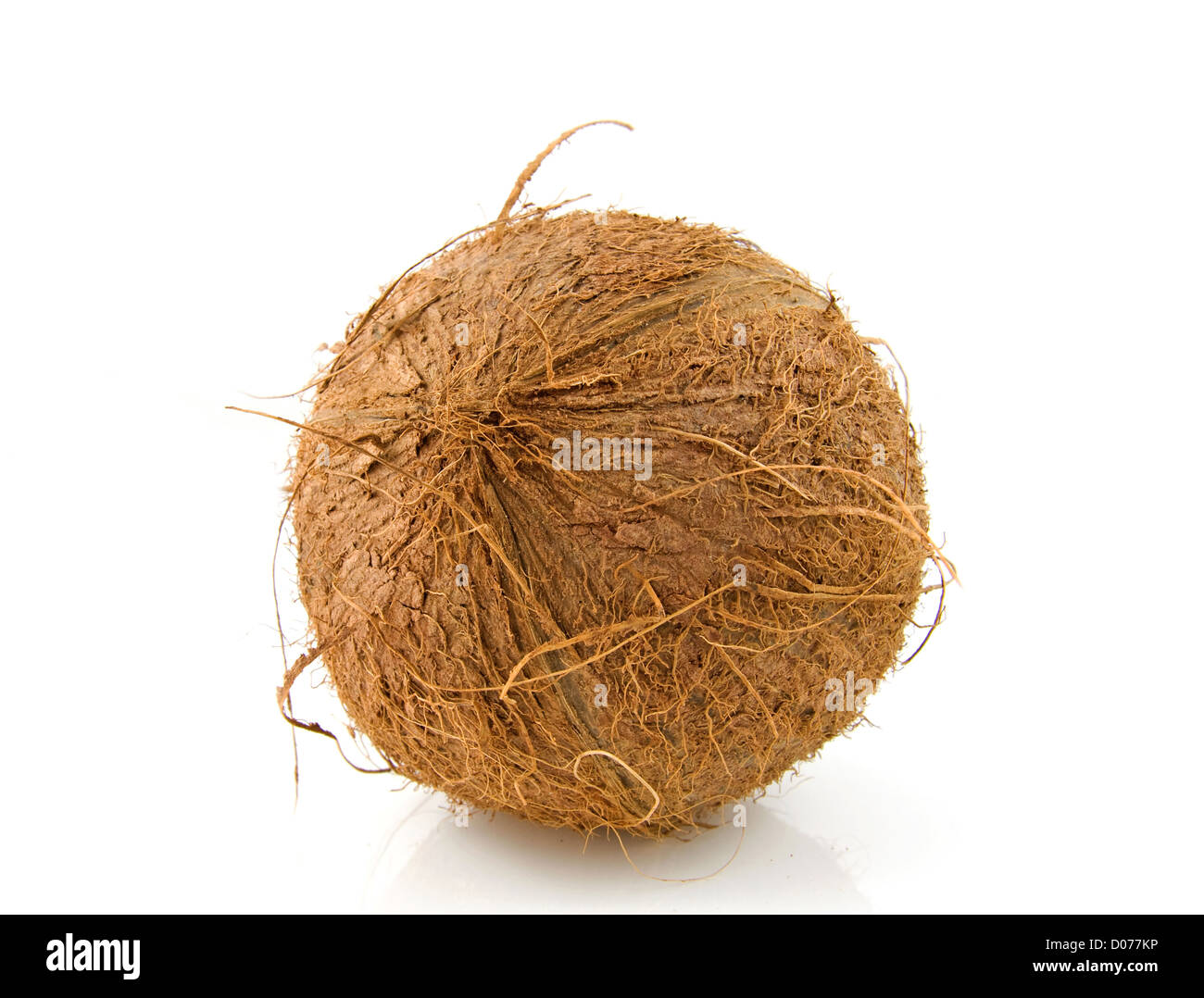 Fresh tropical coconut isolated on white background Stock Photo - Alamy