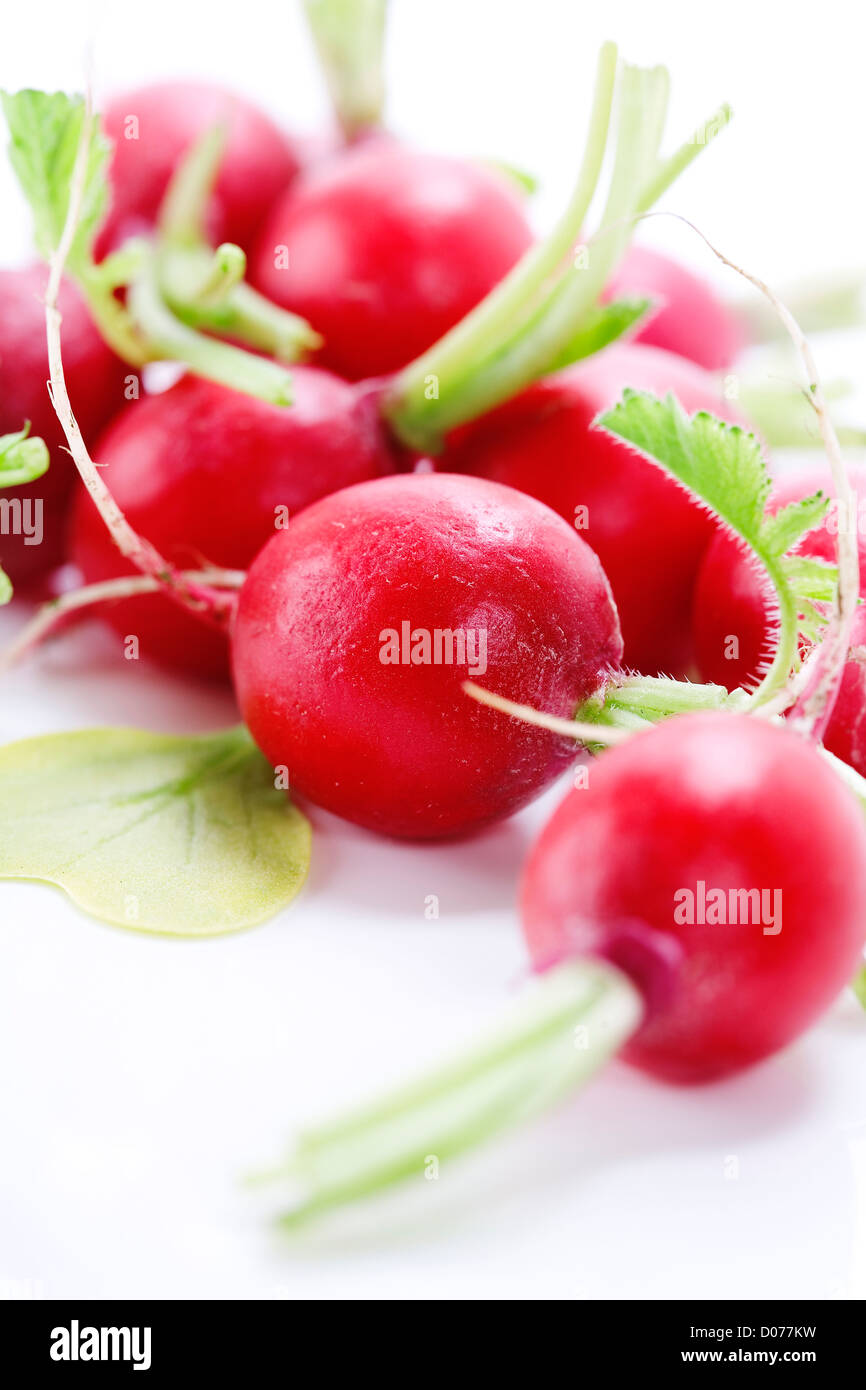 Simple radish hi-res stock photography and images - Alamy