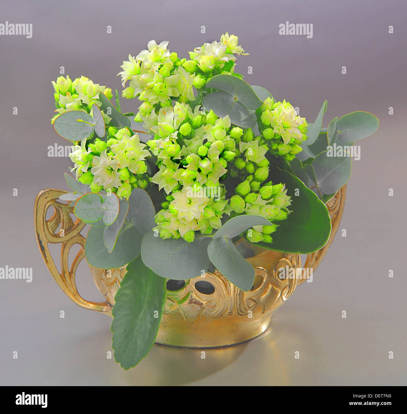 bunch of the flowers arranged in the bowel isolated in gray Stock Photo ...