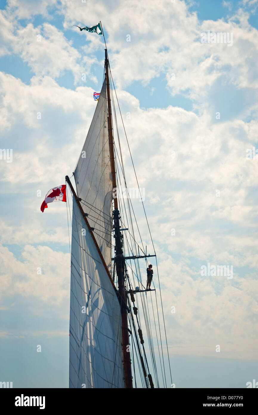 A crew member aboard the tall ship "Pacific Grace" rides in the rigging ...