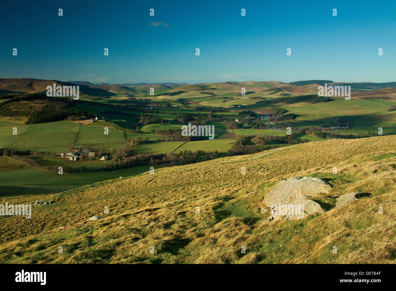 Tweed Valley from Cademuir Hill near Peebles, Scottish Borders Stock ...