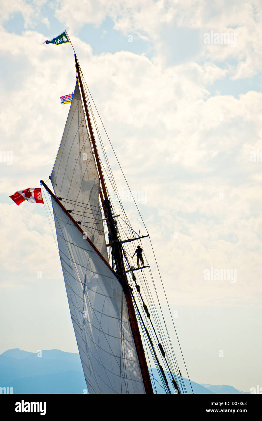 A crew member aboard the tall ship "Pacific Grace" rides in the rigging ...
