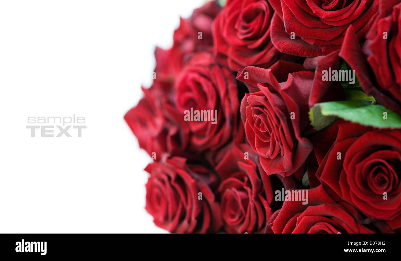 Beautiful Red Roses Stock Photo - Alamy