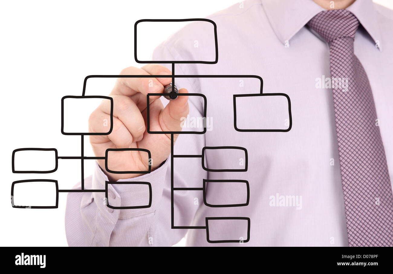 Man drawing an organization chart on a white board Stock Photo - Alamy