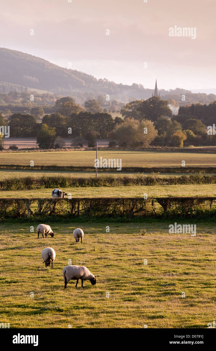 South Shropshire countryside scene, an evening October , England UK ...