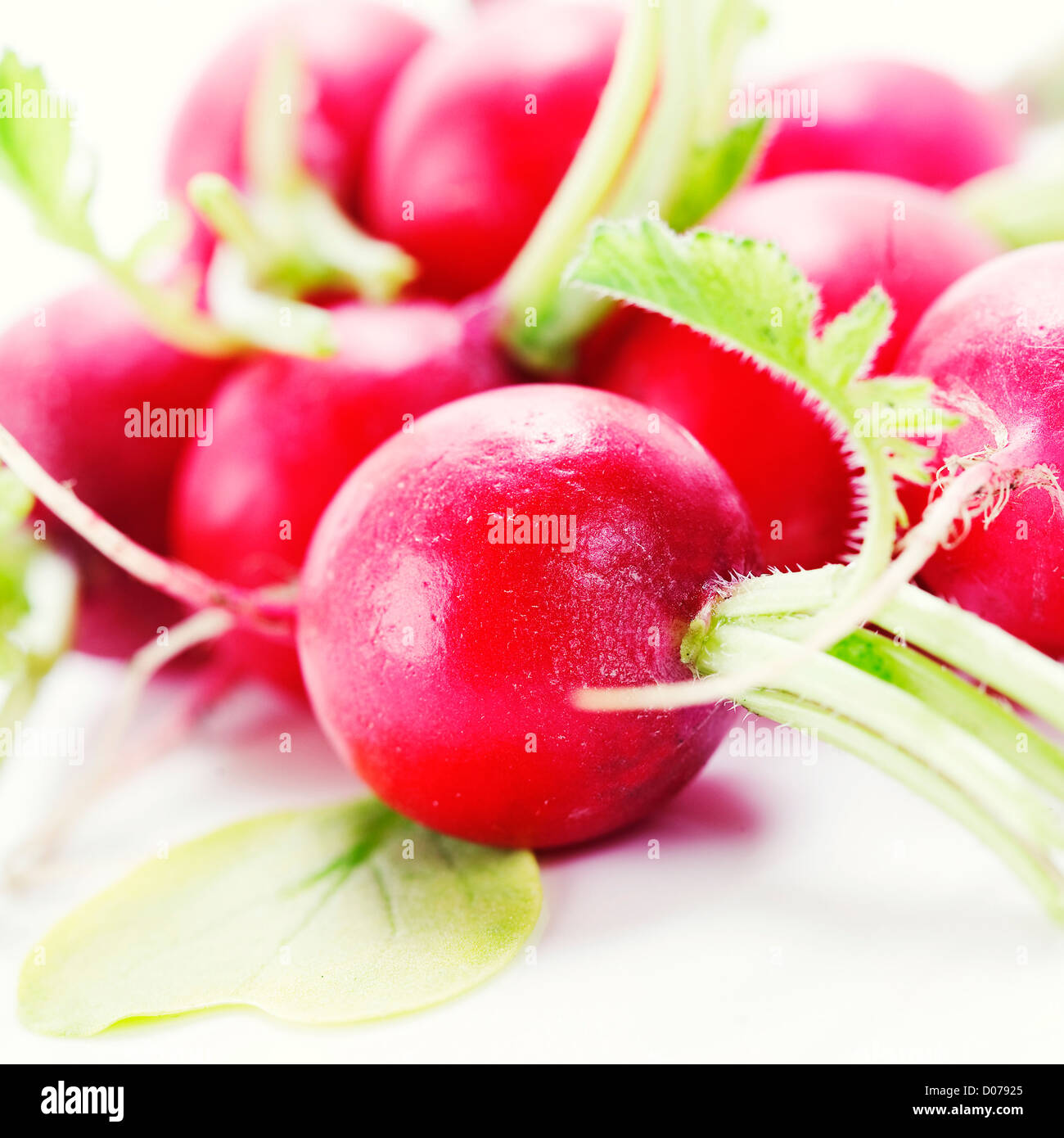 bunch of red ripe radish Stock Photo - Alamy