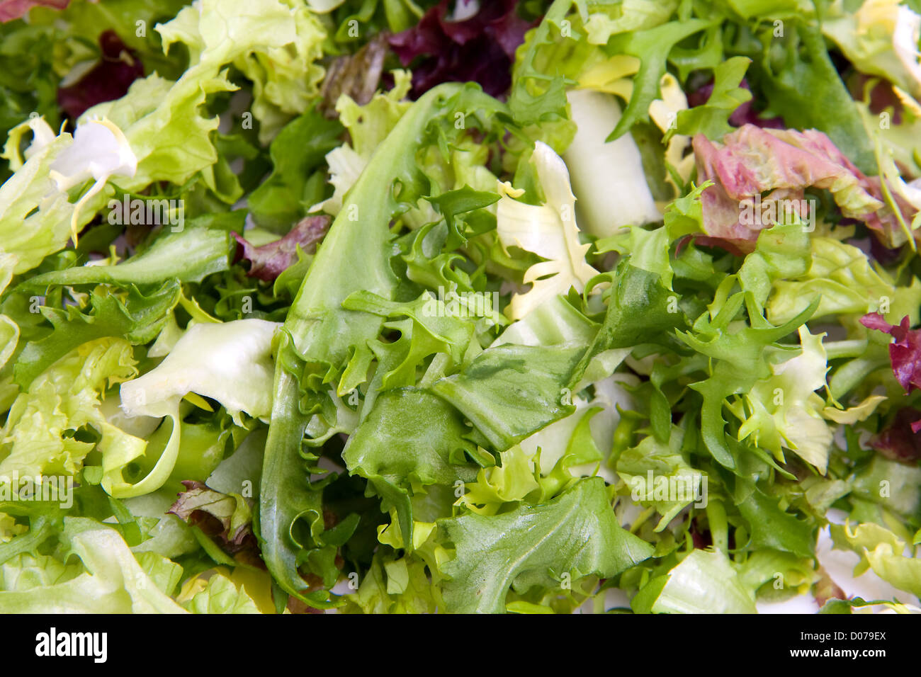 background of fresh lettuce in closeup Stock Photo - Alamy