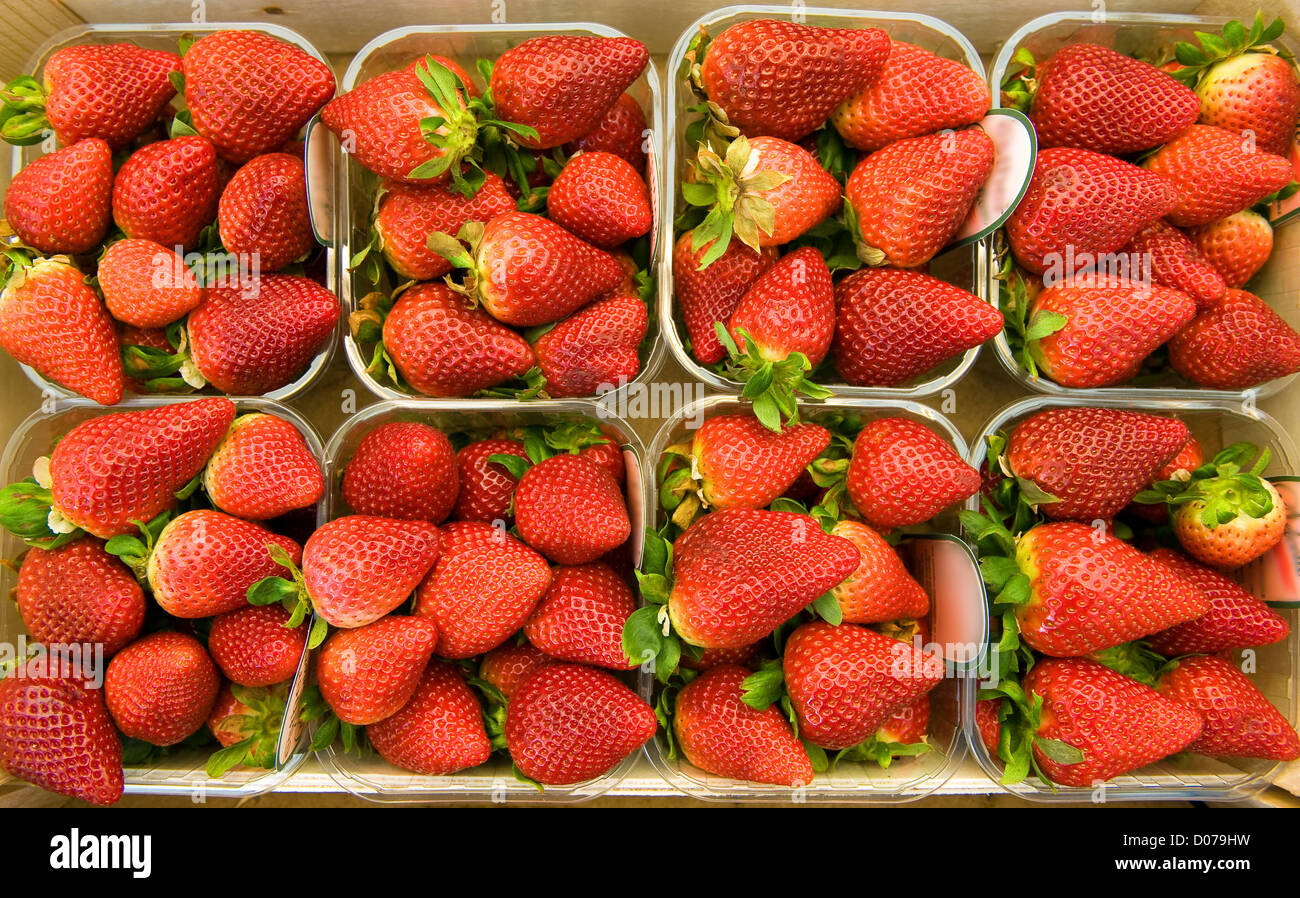 Strawberries in buckets hi-res stock photography and images - Alamy