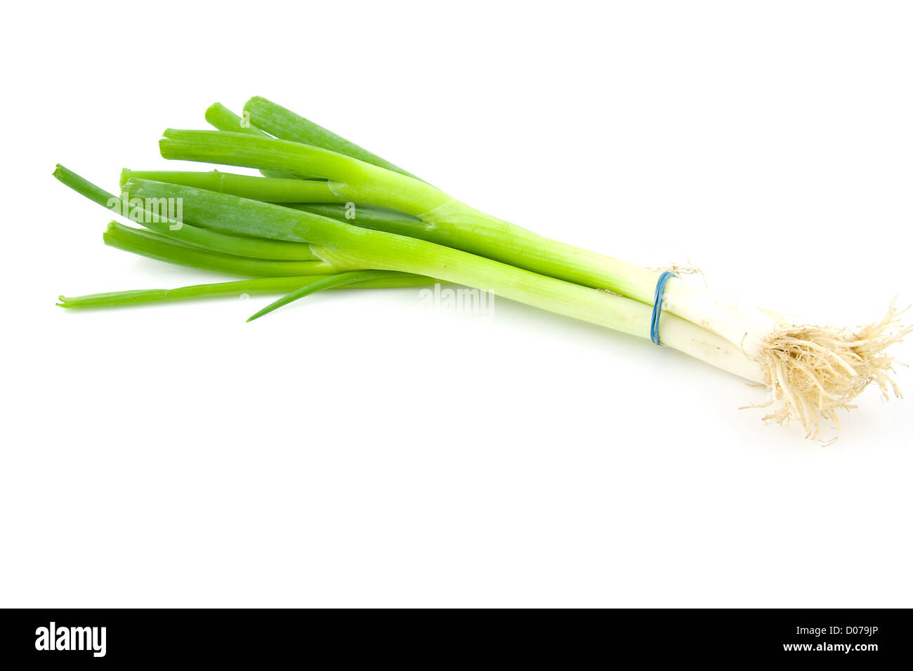 Bunch of fresh spring onions isolated on white background Stock Photo ...