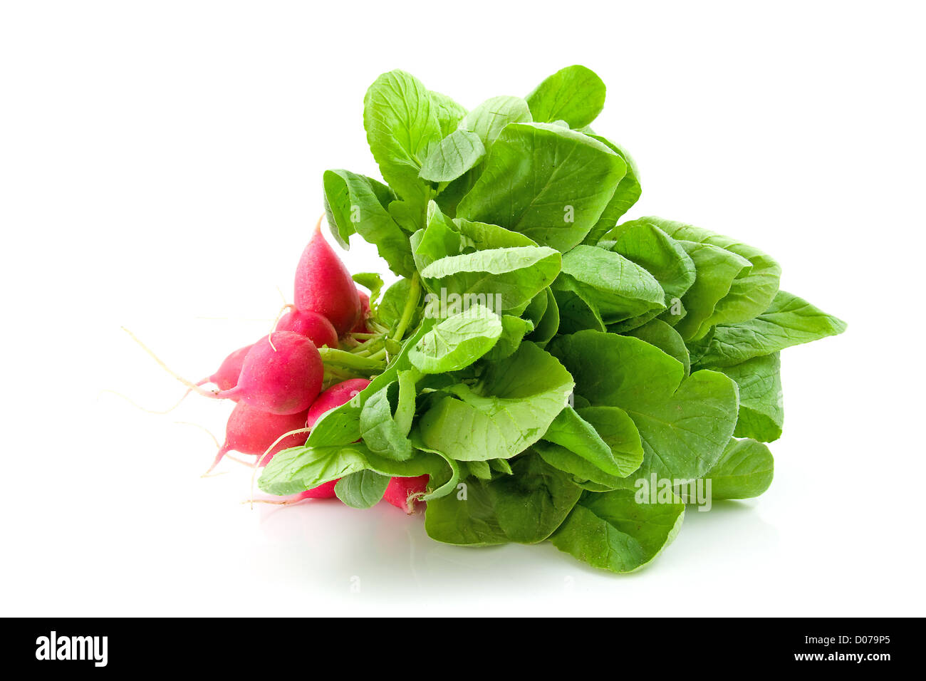 Bunch of fresh radish isolated on white background Stock Photo - Alamy